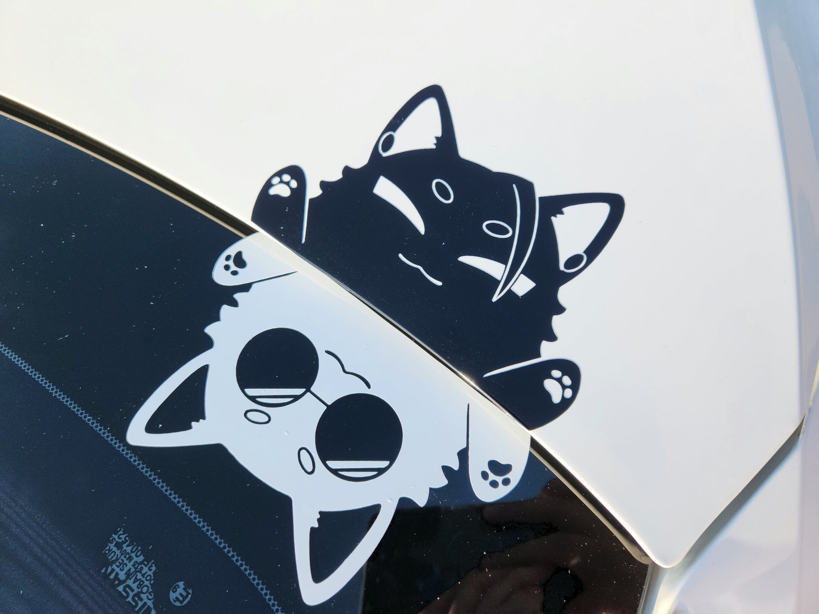 Gojo Catoru & Suguru Gato Bundle – Liliths Wares